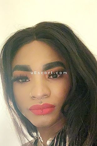 Trans / TS Escort Kittanna in Sheffield - uEscort